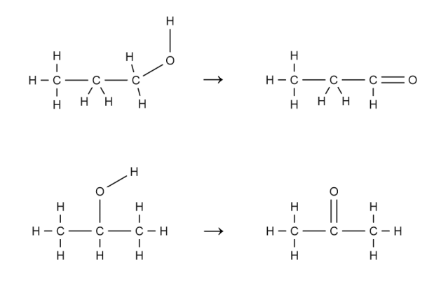 Alcoli | Ripasso di Scienze